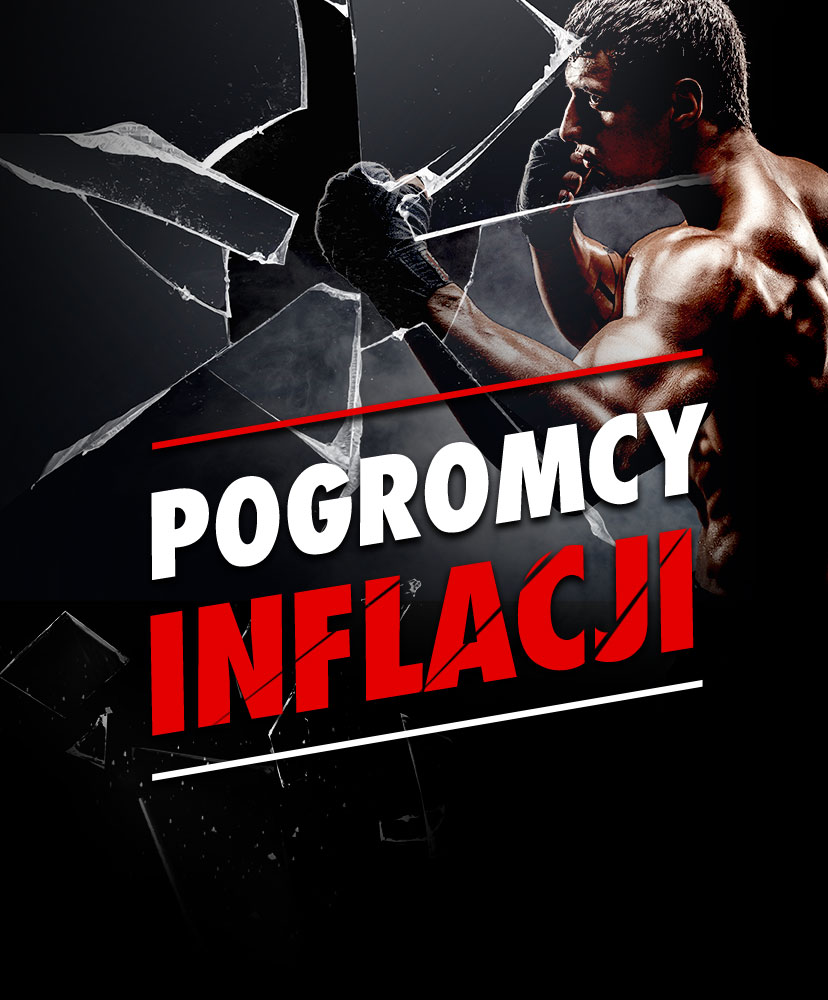 Pogromcy inflacji - Creative Labs (Polska)